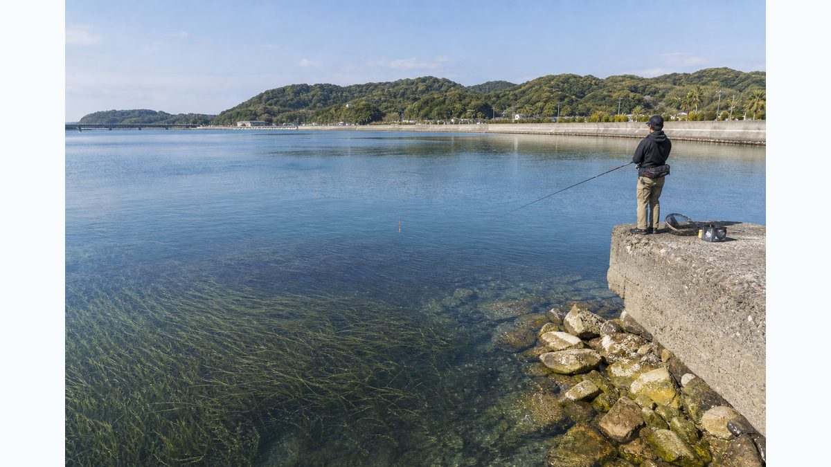浜名湖クロダイ（チヌ）フカセ釣り完全攻略ガイド｜乗っ込みシーズンの仕掛け・エサ・ポイント – とあ浜